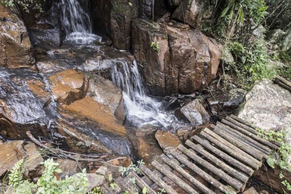 Réserve naturelle de Karkloof : laissez cet endroit vous ressourcer ...